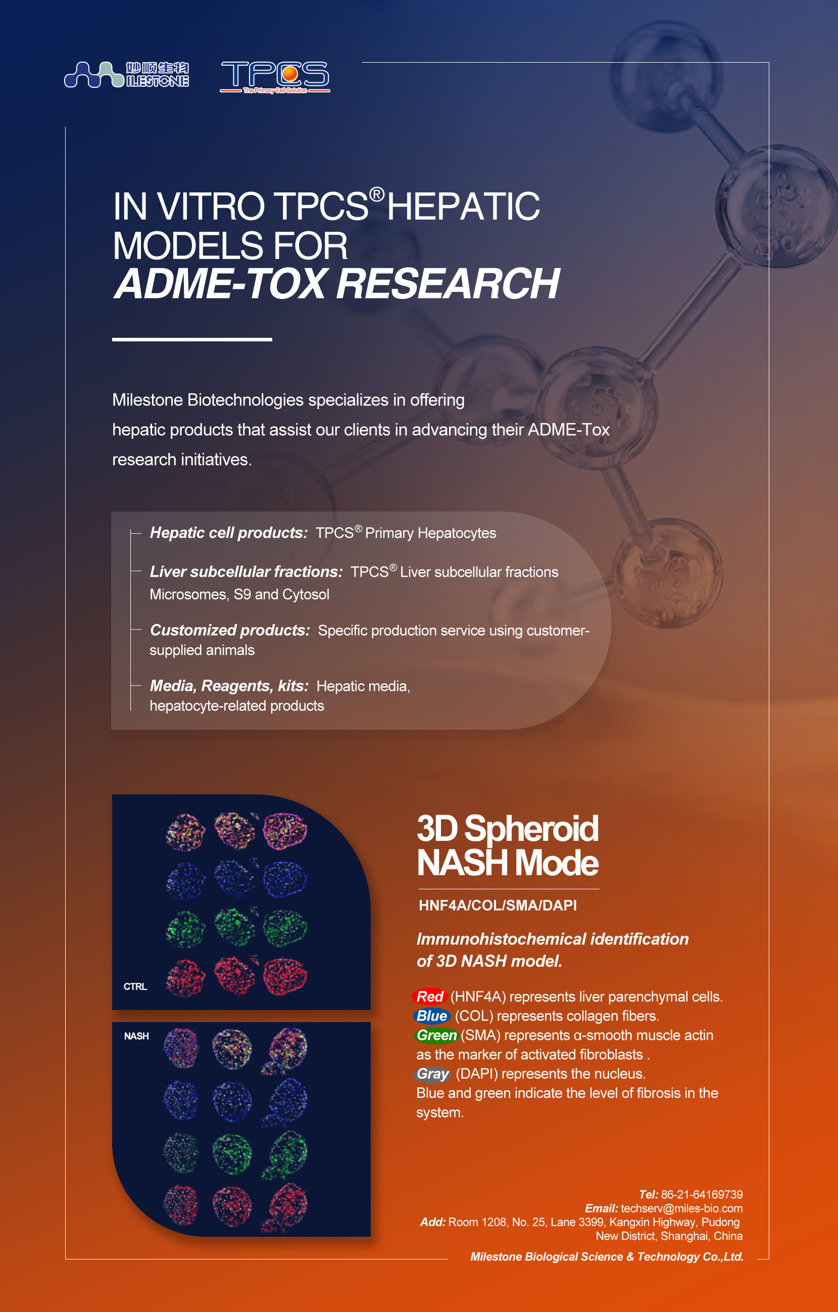 IN VITRO HEPATIC MODELS FOR ADME-TOX RESEARCH_News_Milecell Bio